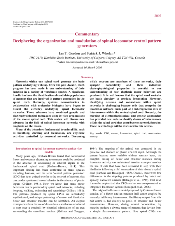(PDF) Deciphering the organization and modulation of spinal locomotor ...
