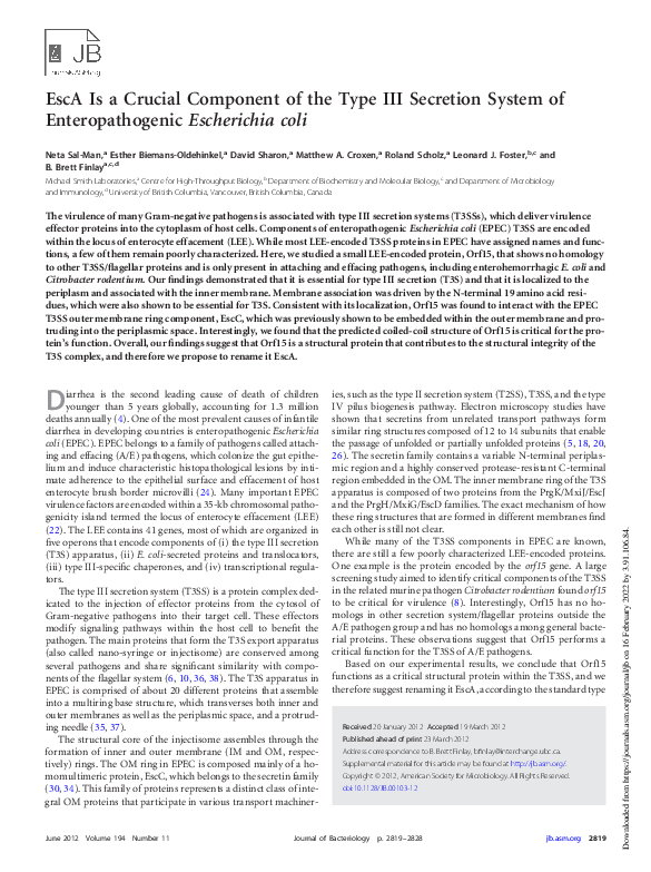 (PDF) EscA Is a Crucial Component of the Type III Secretion System of ...