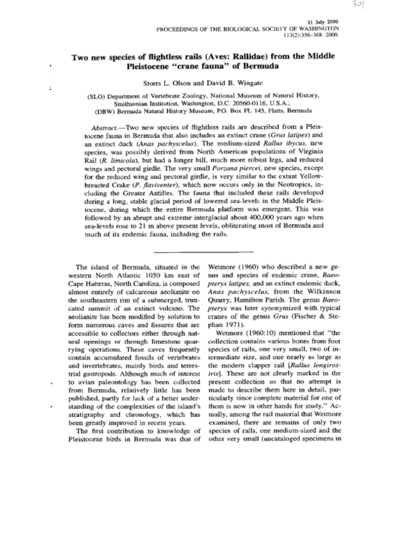 (PDF) Two new species of flightless rails (Aves: Rallidae) from the ...