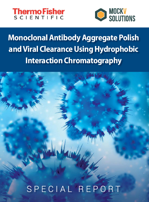 (PDF) Monoclonal Antibody Aggregate Polish and Viral Clearance Using ...