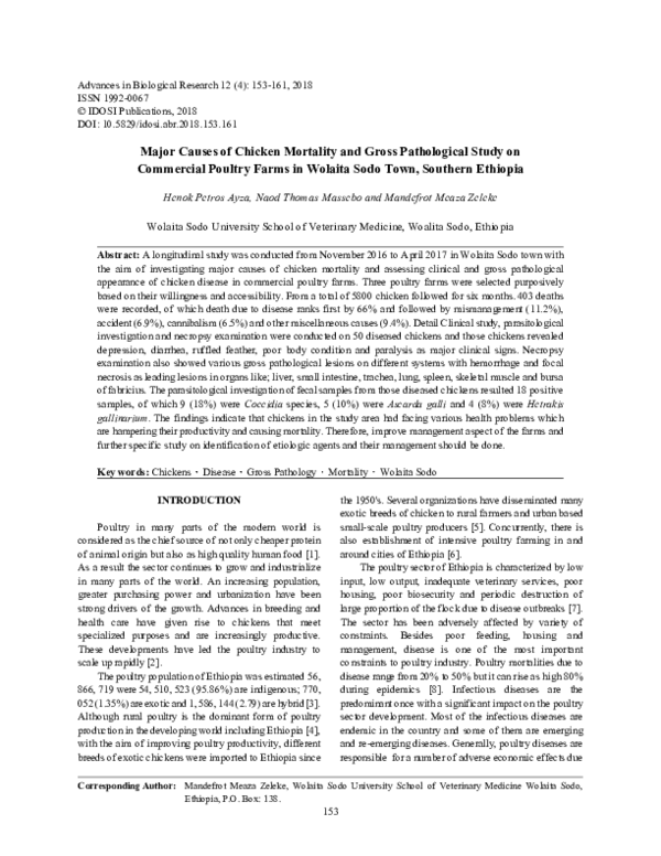 (PDF) Major Causes of Chicken Mortality and Gross Pathological Study on ...