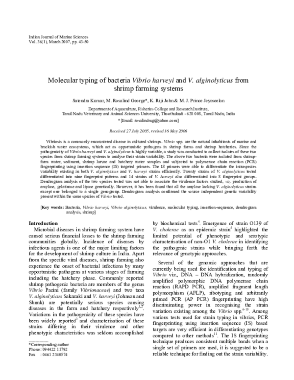 (PDF) Molecular Typing of Bacteria Vibrio Harveyi and V. Alginolyticus From Shrimp Farming Systems