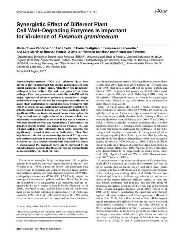 (PDF) Synergistic effect of different plant cell wall degrading enzymes ...