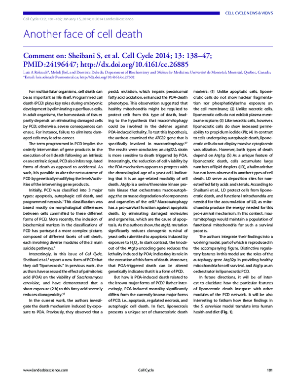 (PDF) Another face of cell death | Luis Rokeach - Academia.edu