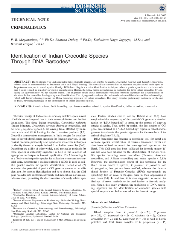 (PDF) Identification of Indian Crocodile Species Through DNA Barcodes