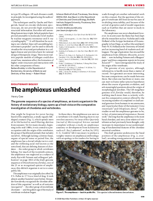 (PDF) Evolutionary biology: The amphioxus unleashed