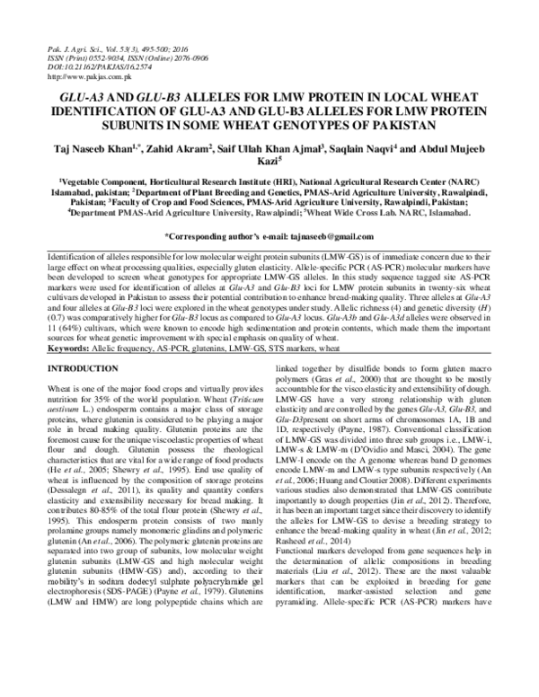 (PDF) GLU-A3 and GLU-B3 Alleles for LMW Protein in Local Wheat ...