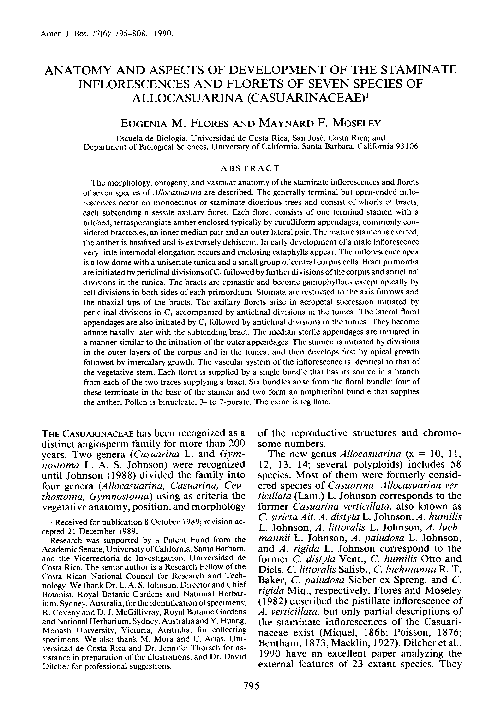 (PDF) Anatomy and Aspects of Development of the Staminate ...