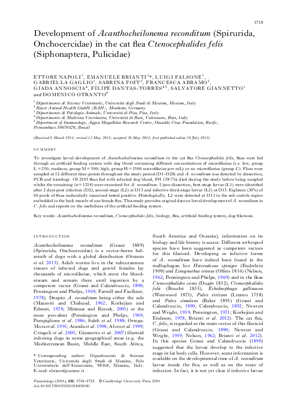 (PDF) Development of Acanthocheilonema reconditum (Spirurida ...