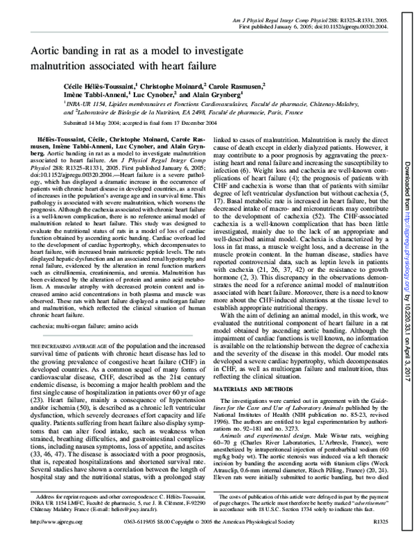 (PDF) Aortic banding in rat as a model to investigate malnutrition ...