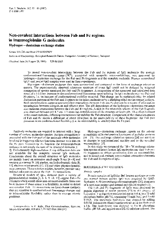 (PDF) Non‐covalent interactions between Fab and Fc regions in ...
