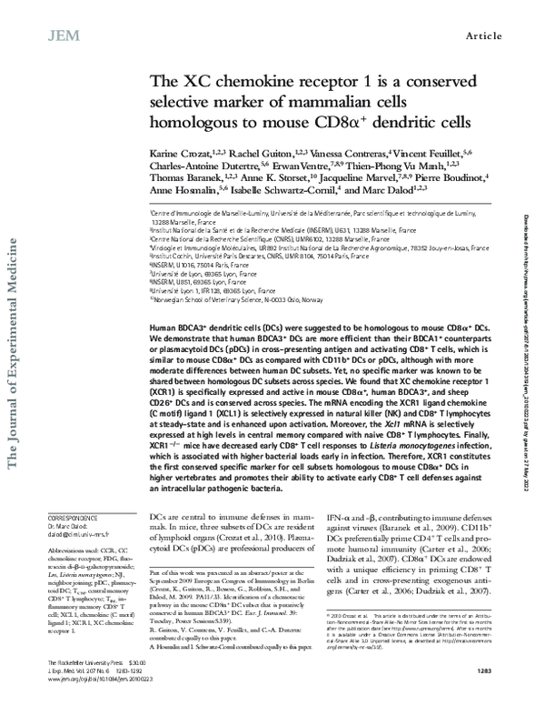 (PDF) XCR1: A Marker for Mammalian Dendritic Cells