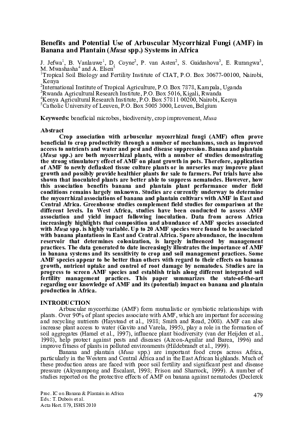 (PDF) Benefits and Potential Use of Arbuscular Mycorrhizal Fungi (Amf) in Banana and Plantain ...
