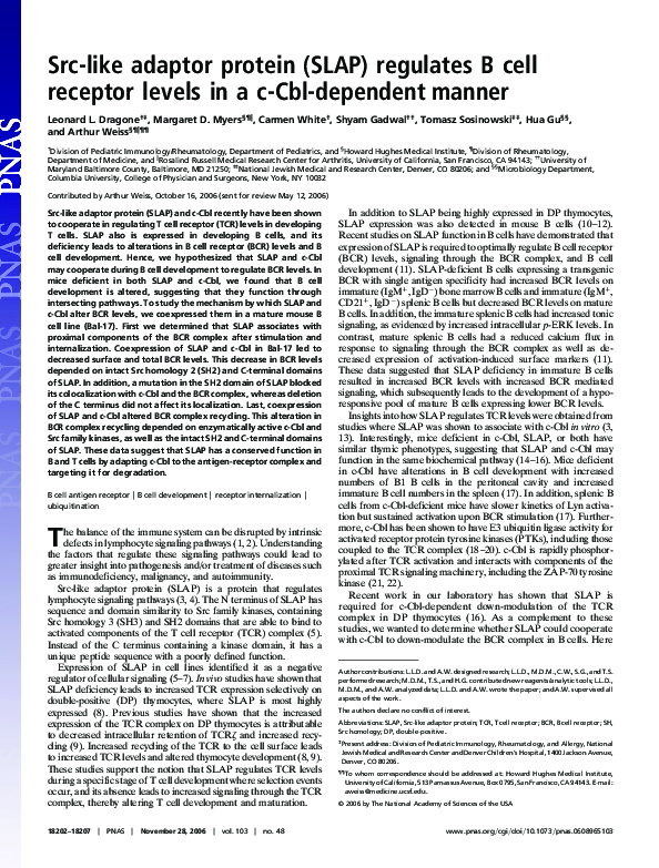 (PDF) Src-like adaptor protein (SLAP) regulates B cell receptor levels ...