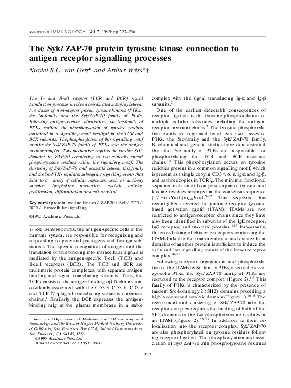 (PDF) The Syk/ZAP-70 protein tyrosine kinase connection to antigen ...
