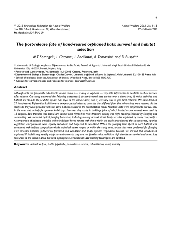 (PDF) The post-release fate of hand-reared orphaned bats: survival and ...