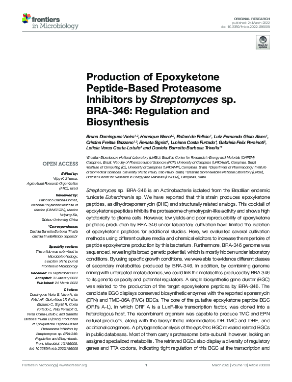 (PDF) Production of Epoxyketone Peptide-Based Proteasome Inhibitors by ...