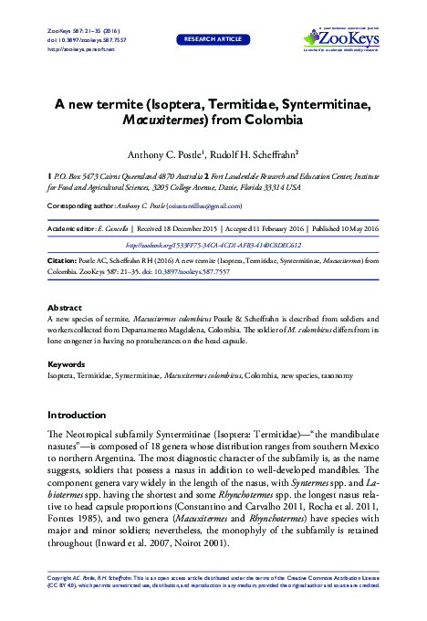 (PDF) A new termite (Isoptera, Termitidae, Syntermitinae, Macuxitermes ...