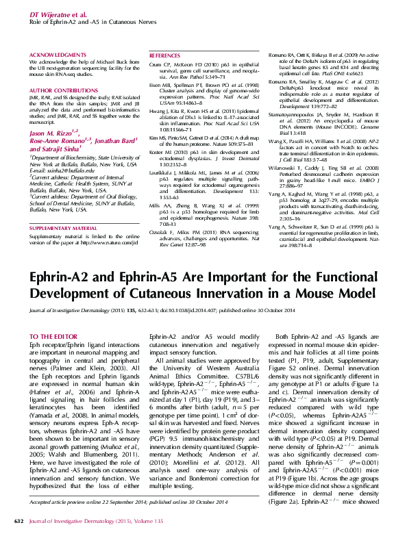 Ephrin-A2 and Ephrin-A5 are Important for the Functional Development of ...