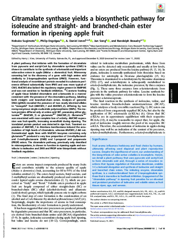 (PDF) Citramalate synthase yields a biosynthetic pathway for isoleucine ...