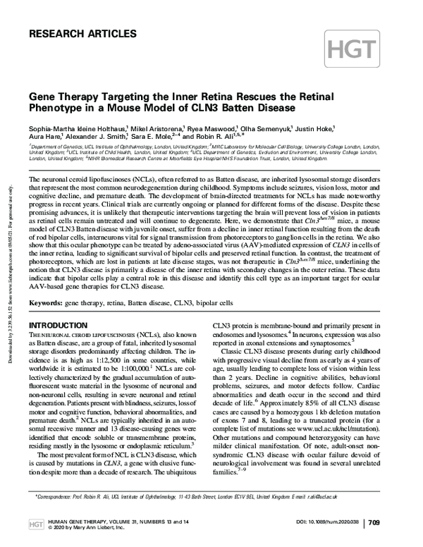 (PDF) Gene Therapy Targeting the Inner Retina Rescues the Retinal ...