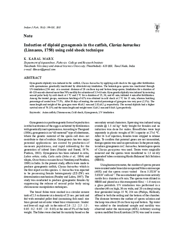 (PDF) Induction of diploid gynogenesis in the catfish, Clarias ...