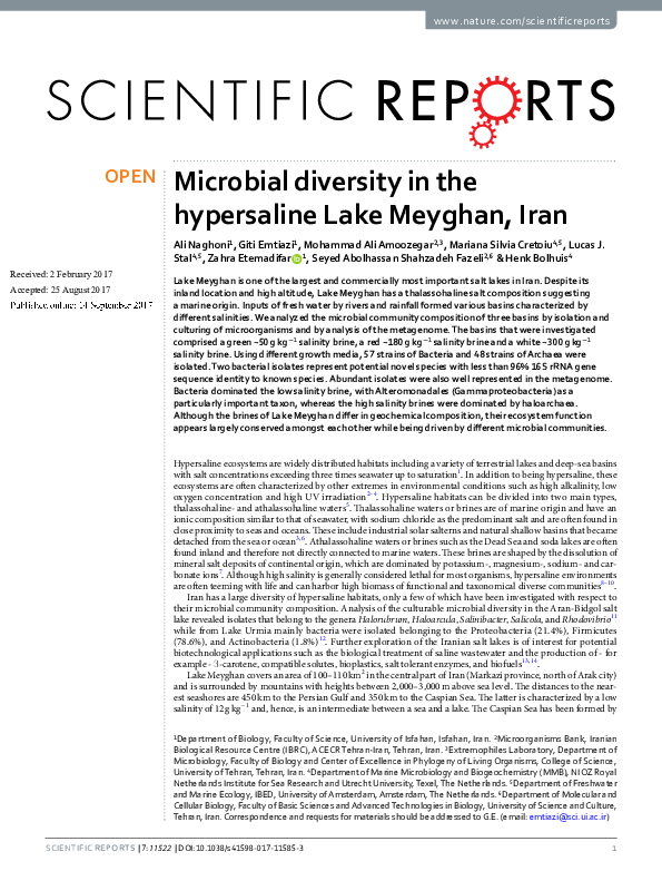 (PDF) Microbial diversity in the hypersaline Lake Meyghan, Iran