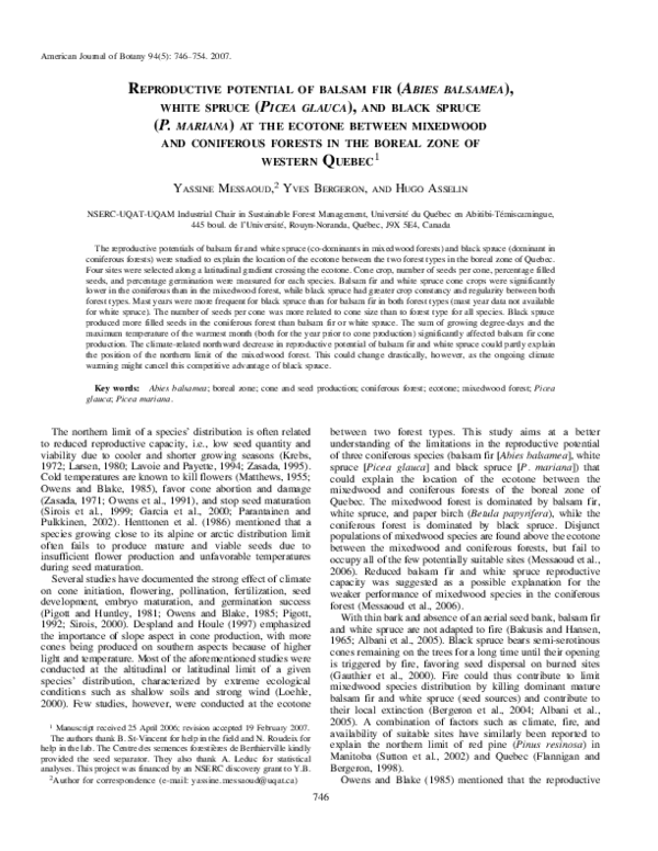 (PDF) Reproductive potential of balsam fir (Abies balsamea), white ...