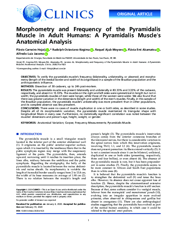 (PDF) Morphometry and Frequency of the Pyramidalis Muscle in Adult ...