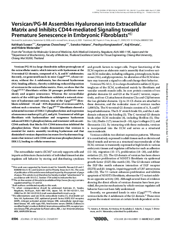(PDF) Versican/PG-M Assembles Hyaluronan into Extracellular Matrix and ...