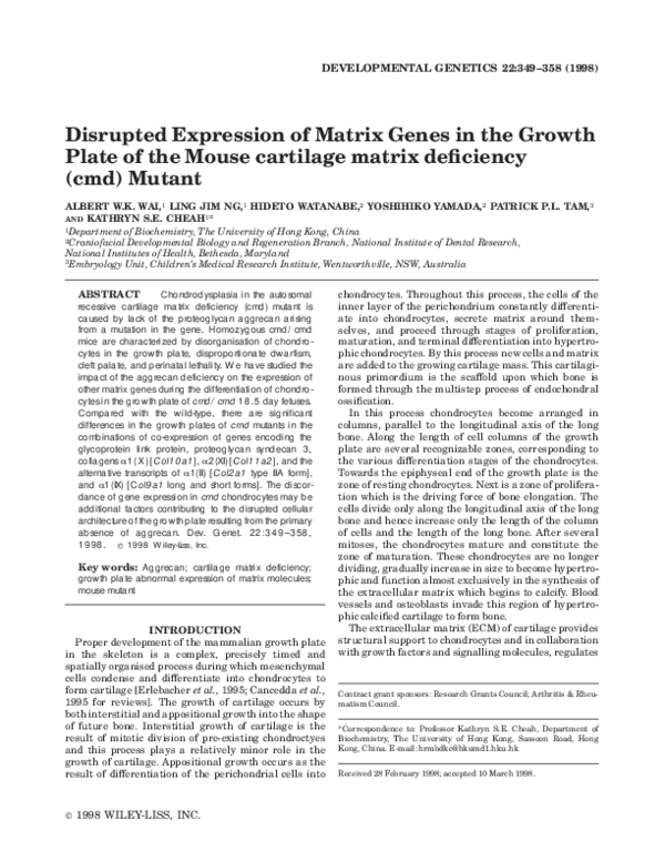 (PDF) Disrupted expression of matrix genes in the growth plate of the ...
