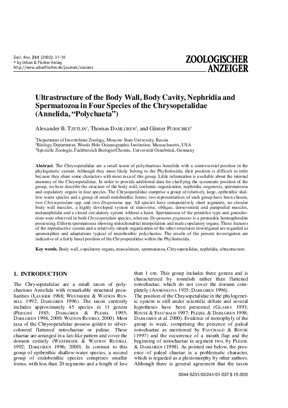 (PDF) Ultrastructure of the Body Wall, Body Cavity, Nephridia and ...