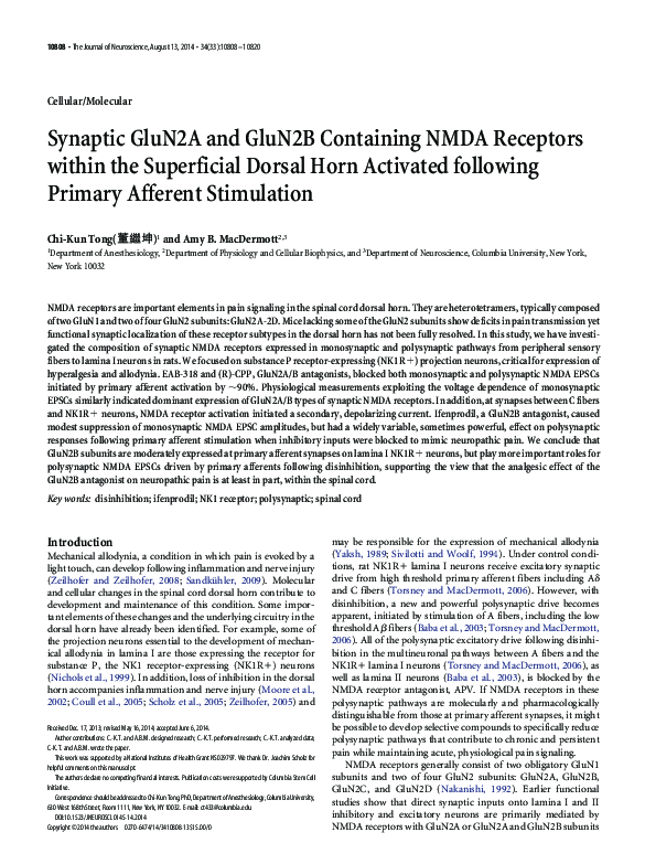 (PDF) Synaptic GluN2A and GluN2B containing NMDA receptors within the ...