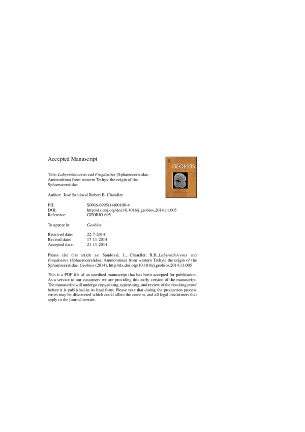 (PDF) Labyrinthoceras and Frogdenites (Sphaeroceratidae, Ammonitina ...