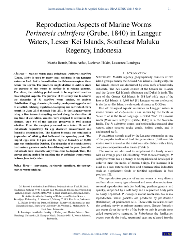 (PDF) Waters, Lesser Kei Islands, Southeast Maluku Regency, Indonesia