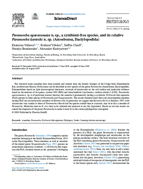 (PDF) Paramoeba aparasomata n. sp., a symbiont free-species, and its ...