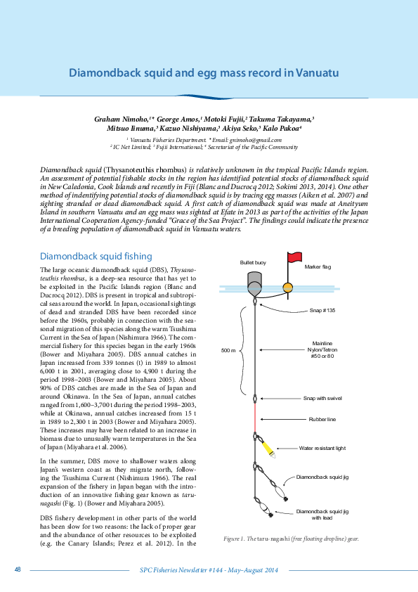 Pdf Diamond Back Squid And Egg Mass Record In Vanuatu