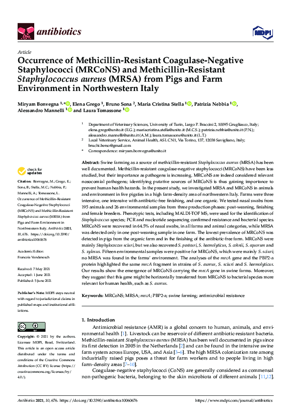 Occurrence of Methicillin-Resistant Coagulase-Negative Staphylococci (MRCoNS) and Methicillin ...