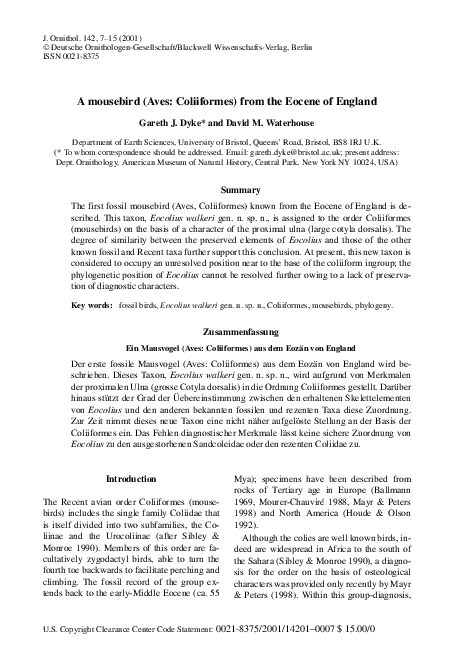 (PDF) A mousebird (Aves: Coliiformes) from the Eocene of England