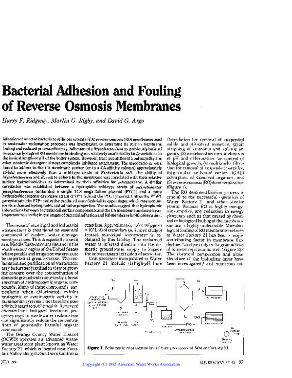 (PDF) Bacterial Adhesion and Fouling of Reverse Osmosis Membranes