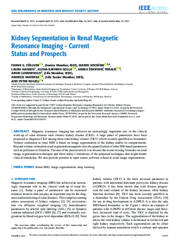 (PDF) Kidney Segmentation in Renal Magnetic Resonance Imaging - Current ...