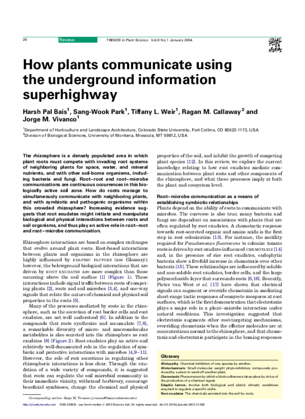 (PDF) How plants communicate using the underground information superhighway