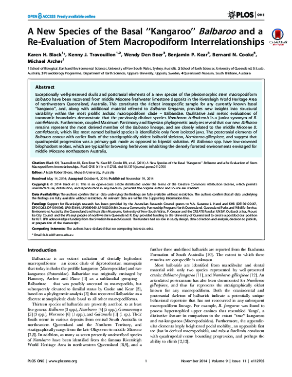 (PDF) A New Species of the Basal “Kangaroo” Balbaroo and a Re ...