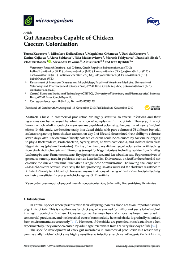 (PDF) Gut Anaerobes Capable of Chicken Caecum Colonisation