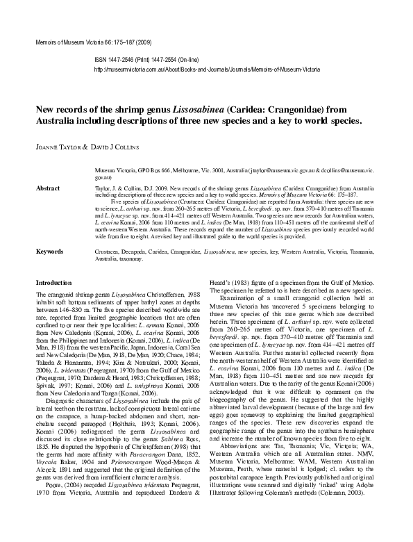 (PDF) New records of the shrimp genus Lissosabinea (Caridea ...