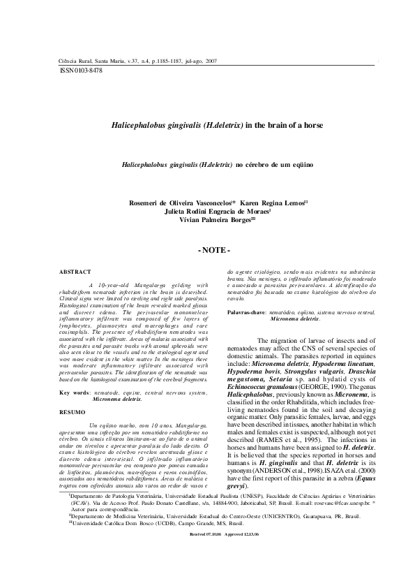 (PDF) Halicephalobus gingivalis (H.deletrix) in the brain of a horse