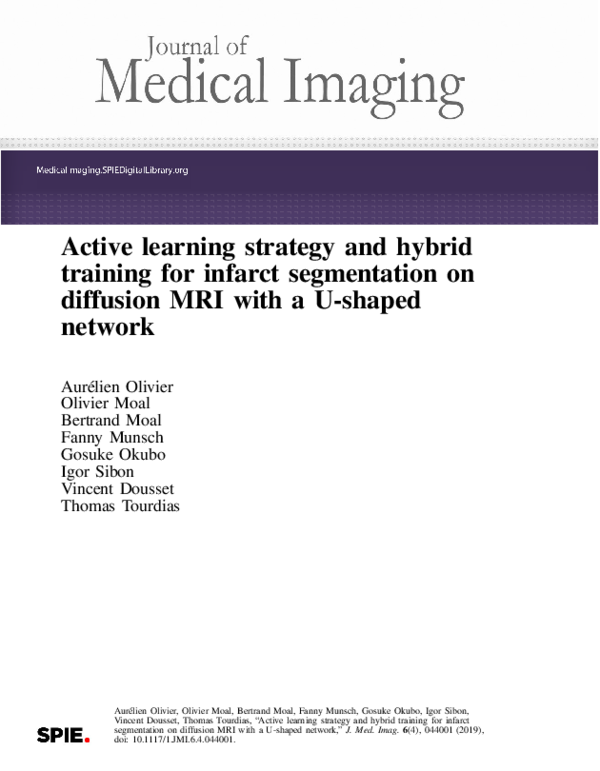 (PDF) Active learning strategy and hybrid training for infarct ...