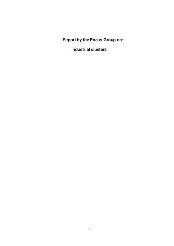 (PDF) 1 Report by the Focus Group on : Industrial clusters