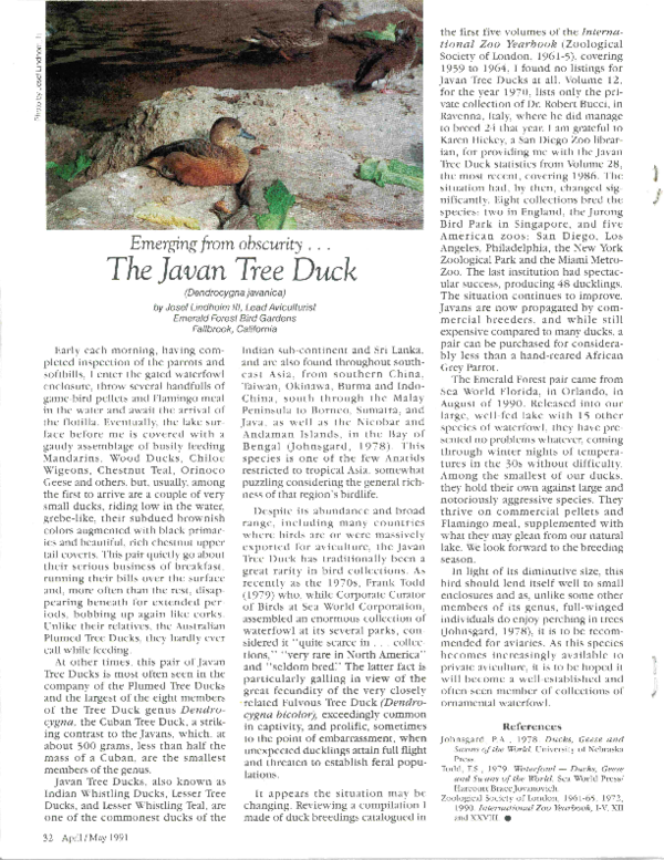 (PDF) The Javan Tree Duck: Emerging from Obscurity