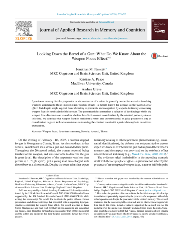 (PDF) Looking Down the Barrel of a Gun: What Do We Know About the ...